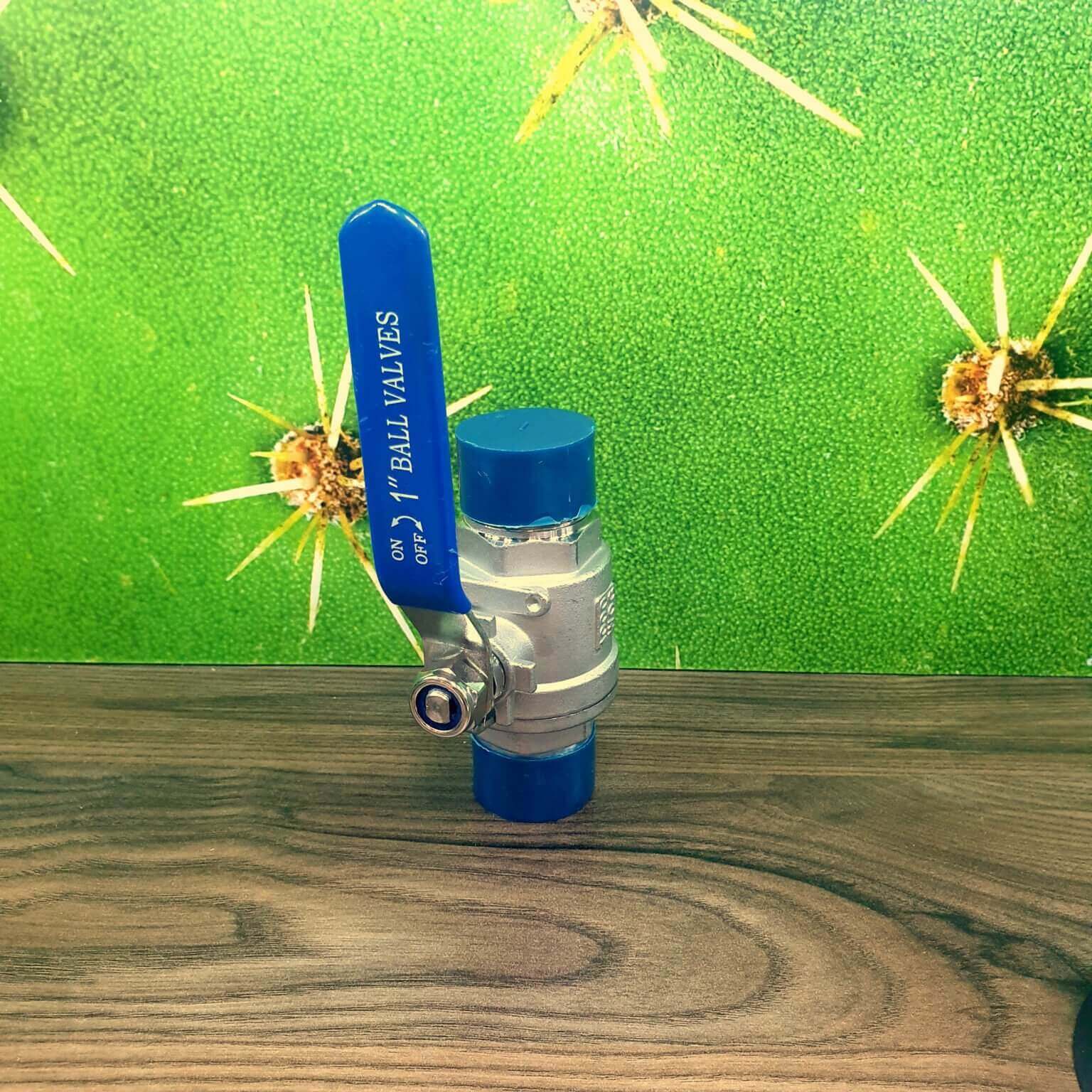 Ball Valve 2 Piece Bsp male 1 Cactus Craft